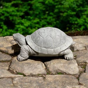 Detailed Box Turtle Statue Realistic Box Turtle Sculpture Concrete ...