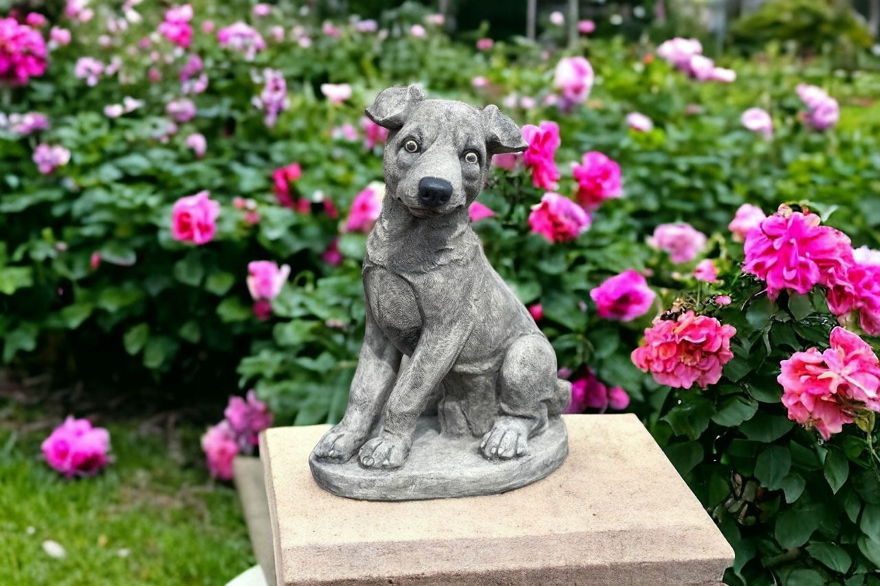 Massive Sitting Jack Russell on Base Figure Stone Dog Memorial Statue ...
