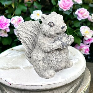 Standing Squirrel With Nut Statue Realistic Squirrel Figure Outdoor or ...
