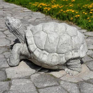 Large Turtle Box Statue Detailed Turtle Figure Concrete Tortoise ...
