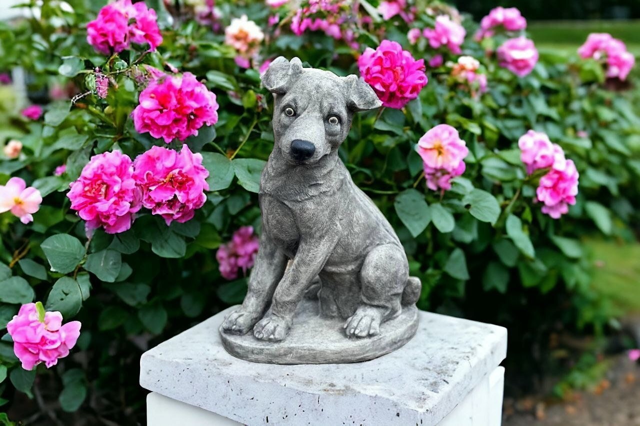 Massive Sitting Jack Russell on Base Figure Stone Dog Memorial Statue ...