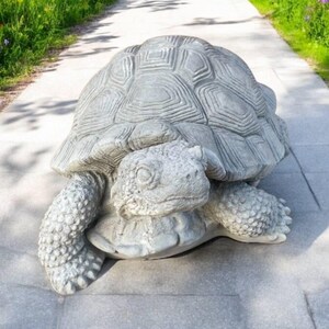 Massive Box Turtle Figurine Detailed Box Turtle Statue Wild Animal ...