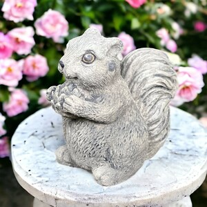 Standing Squirrel With Nut Statue Realistic Squirrel Figure Outdoor or ...