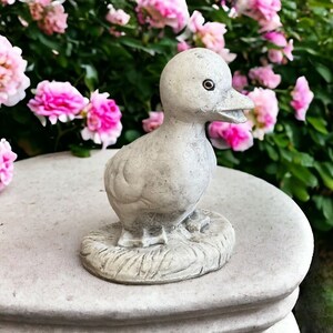 Rubber Duck on Base Statue Concrete Duck Figure Farm Outdoor Decoration ...