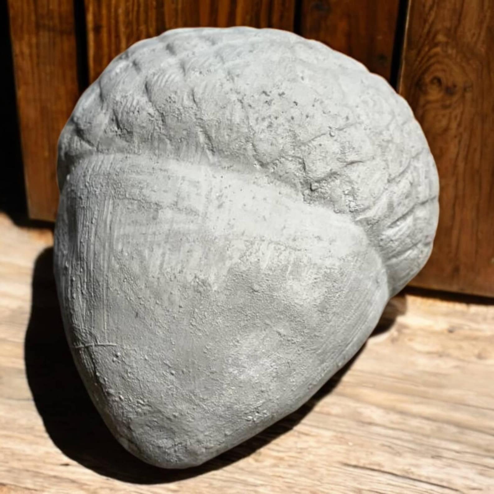 Detailed Acorn Statue Forest Acorn Sculpture Wild Nut Figure Realistic ...