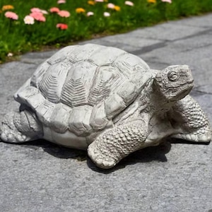 Large Turtle Box Statue Detailed Turtle Figure Concrete Tortoise ...