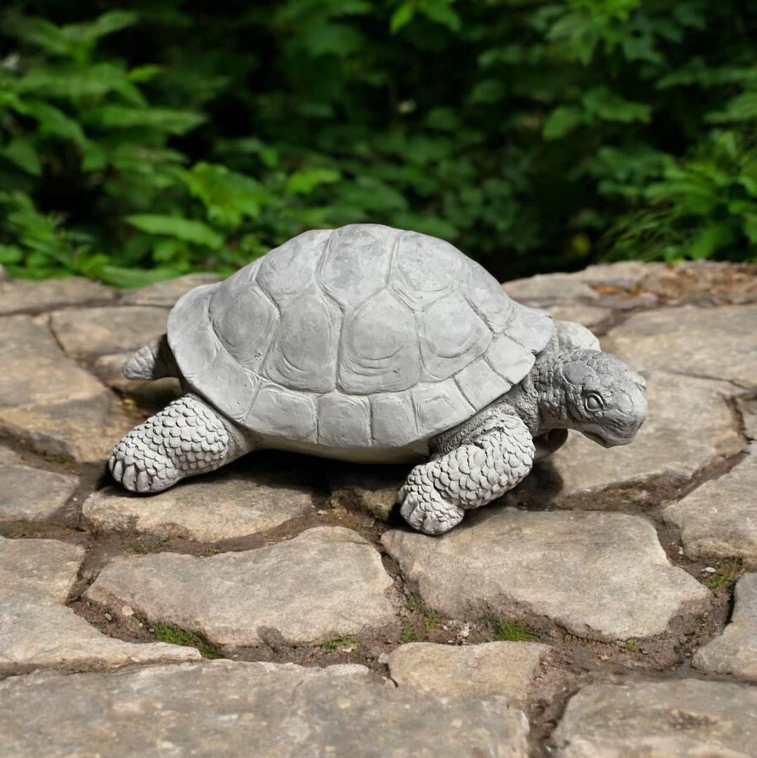 Detailed Box Turtle Statue Realistic Box Turtle Sculpture Concrete ...