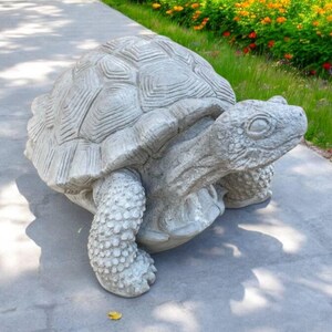 Massive Box Turtle Figurine Detailed Box Turtle Statue Wild Animal ...