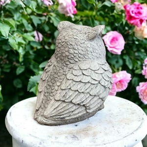 Wild Bird Sculpture Sitting Night Owl Figure Stone Garden Art Bird ...