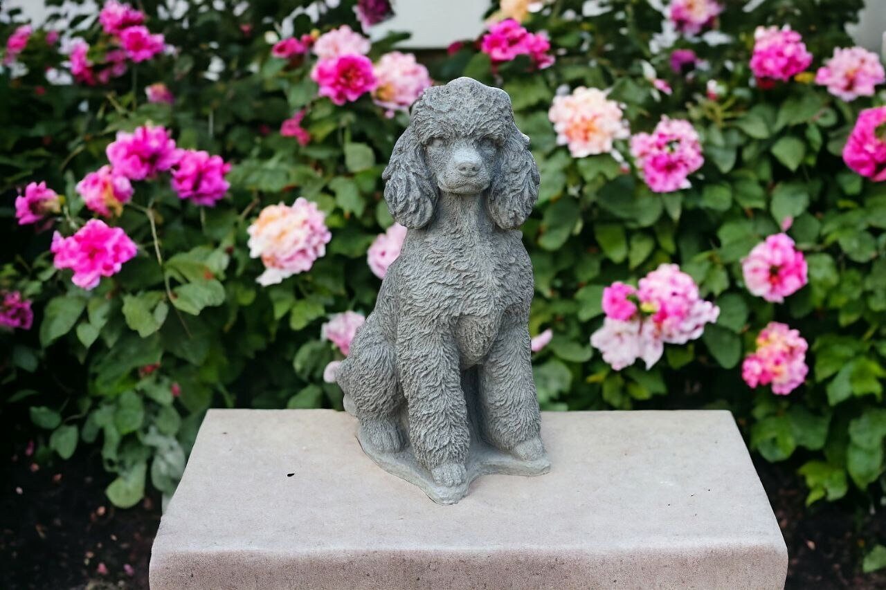 Realistic Poodle Dog Figure Sitting Poodle Puppy Statue Backyard Dog ...