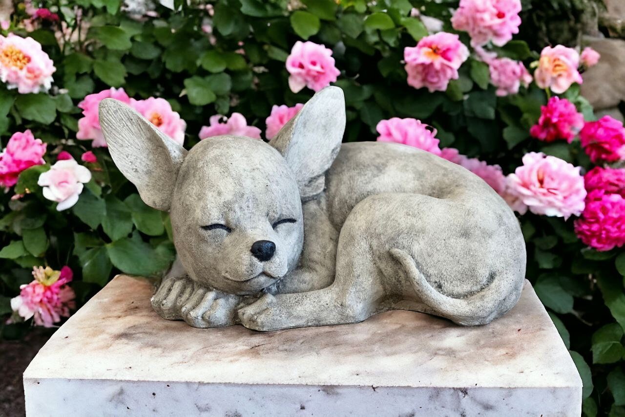 Sleeping Chihuahua Dog Memorial Statue Concrete Chihuahua Grave Marker ...