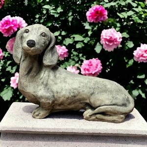 Standing Dachshund Dog Statue Concrete Dachshund Puppy Figure Garden ...