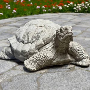 Large Turtle Box Statue Detailed Turtle Figure Concrete Tortoise ...