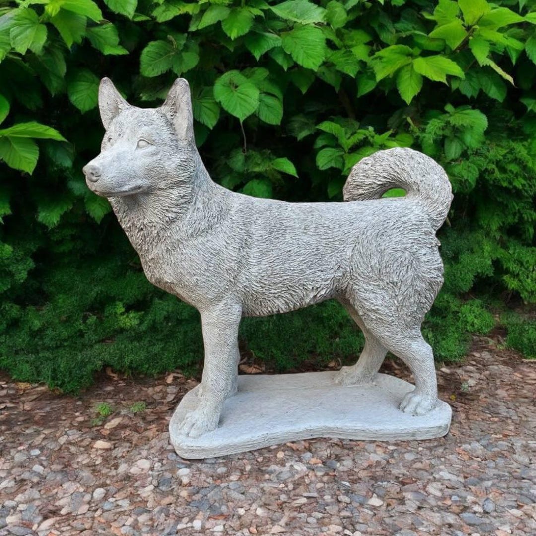 Realistic Siberian Husky Large Figure Standing Siberian Husky Dog on ...