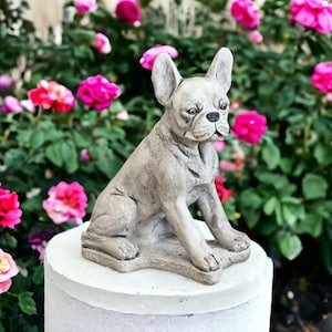 Realistic Boston Terrier Statue Garden Dog Memorial Stone Outdoor ...