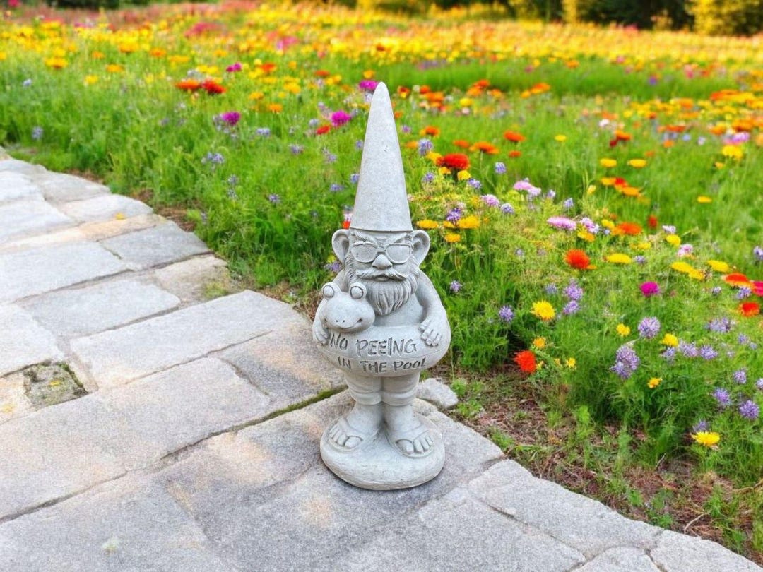 Gnome No Peeing in Pool Rock Concrete Dwarf Statue Fairy Backyard ...