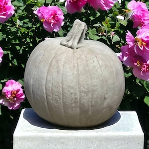Halloween Pumpkin Statue Cement Autumn Decoration Concrete Garden ...