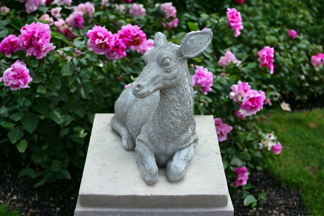 Large Deer Statue Laying Massive Fawn Sculpture Concrete Garden ...
