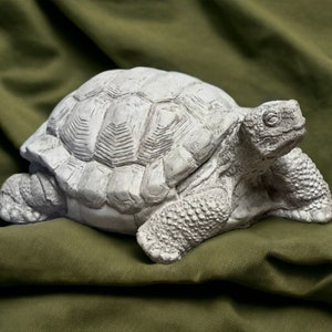 Large Turtle Box Statue Concrete Turtle Figure Massive Concrete Turtle ...