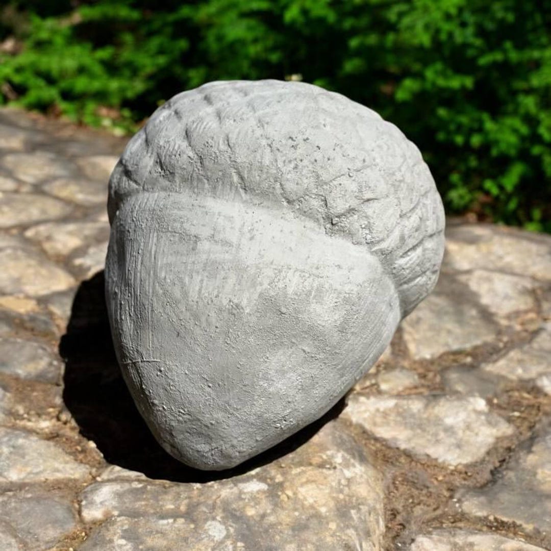 Concrete Acorn Statue Stone Acorn Figurine Large Acorn Figure Massive ...