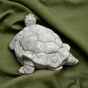 Large Turtle Box Statue Concrete Turtle Figure Massive Concrete Turtle ...