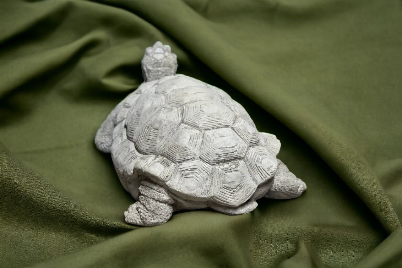 Large Turtle Box Statue Concrete Turtle Figure Massive Concrete Turtle ...