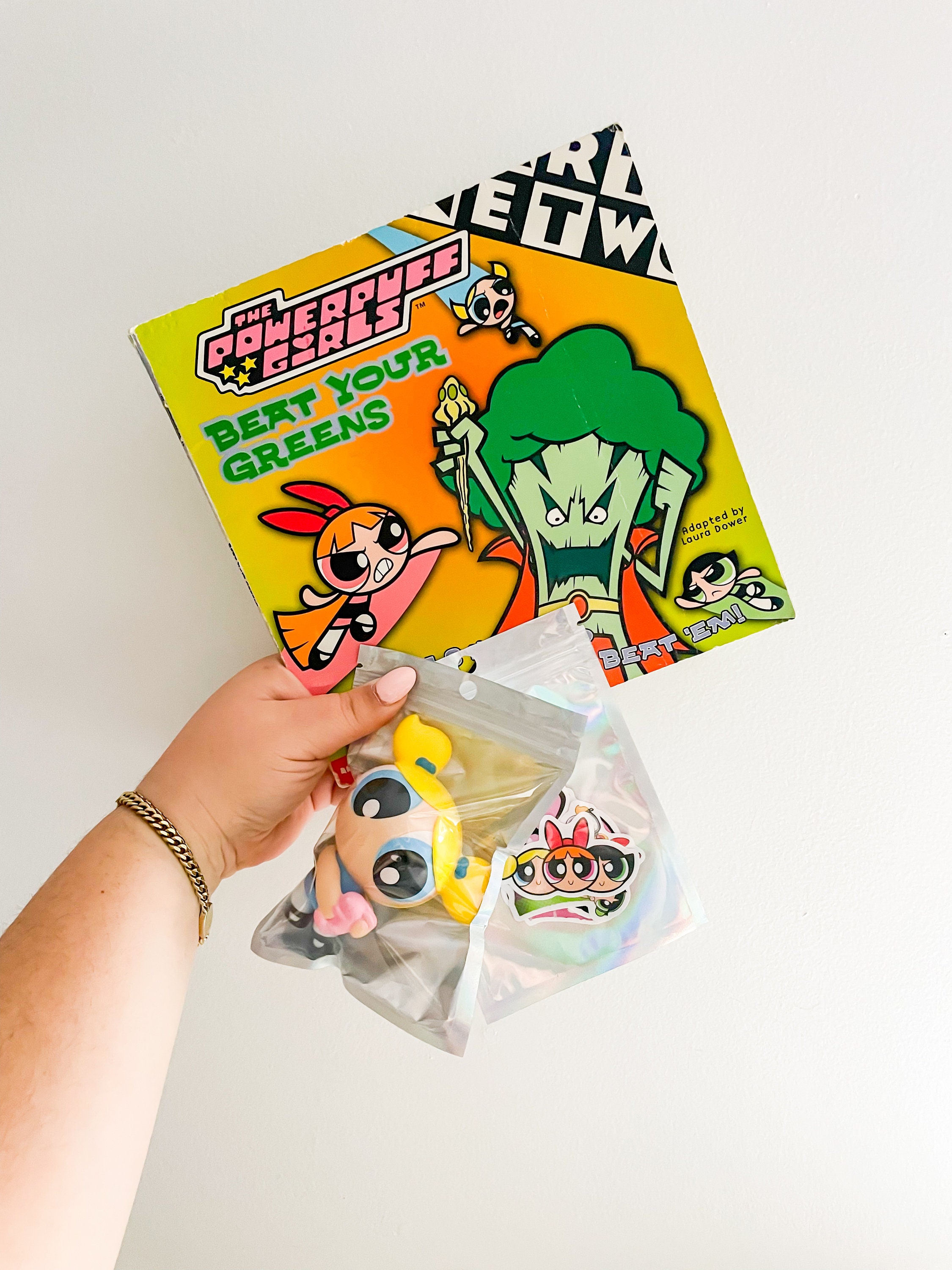 The Powerpuff Girls Nostalgic Mini Bundle - Etsy