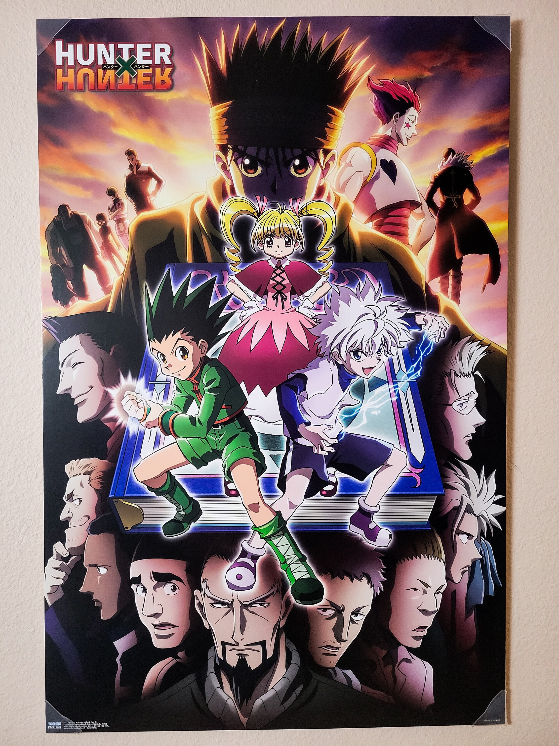 HUNTER X HUNTER Anime Art Print on Foamboard 22x34 Inches - Etsy