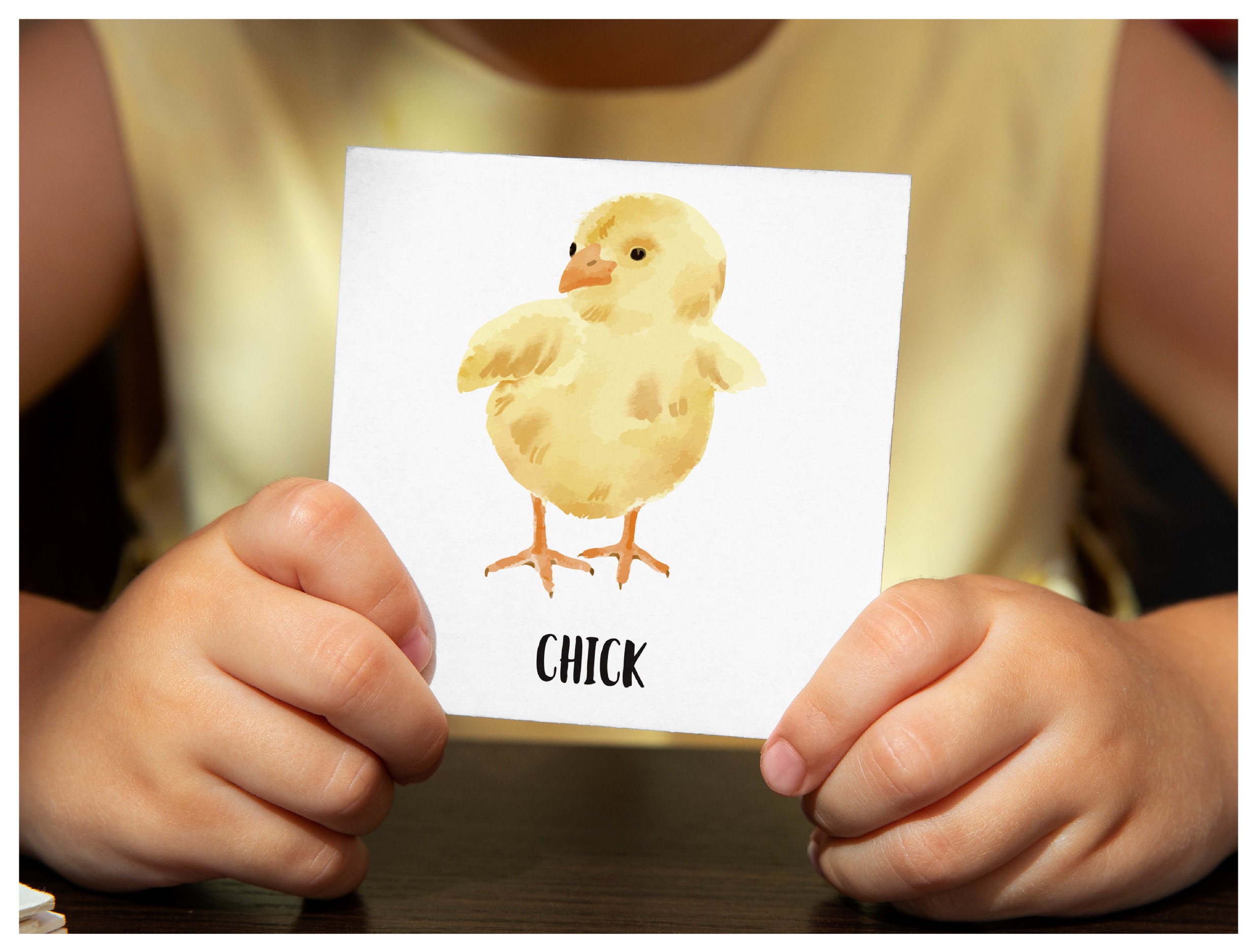 Farm Animals Flash Cards Montessori Flashcards Pre-school - Etsy