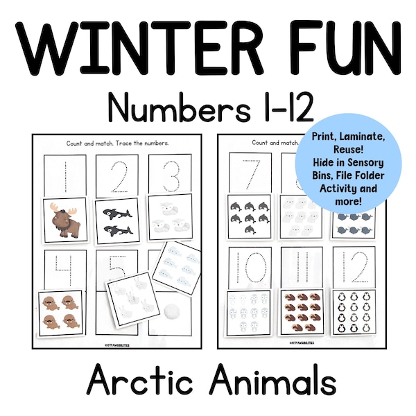 File Folder Games - Etsy