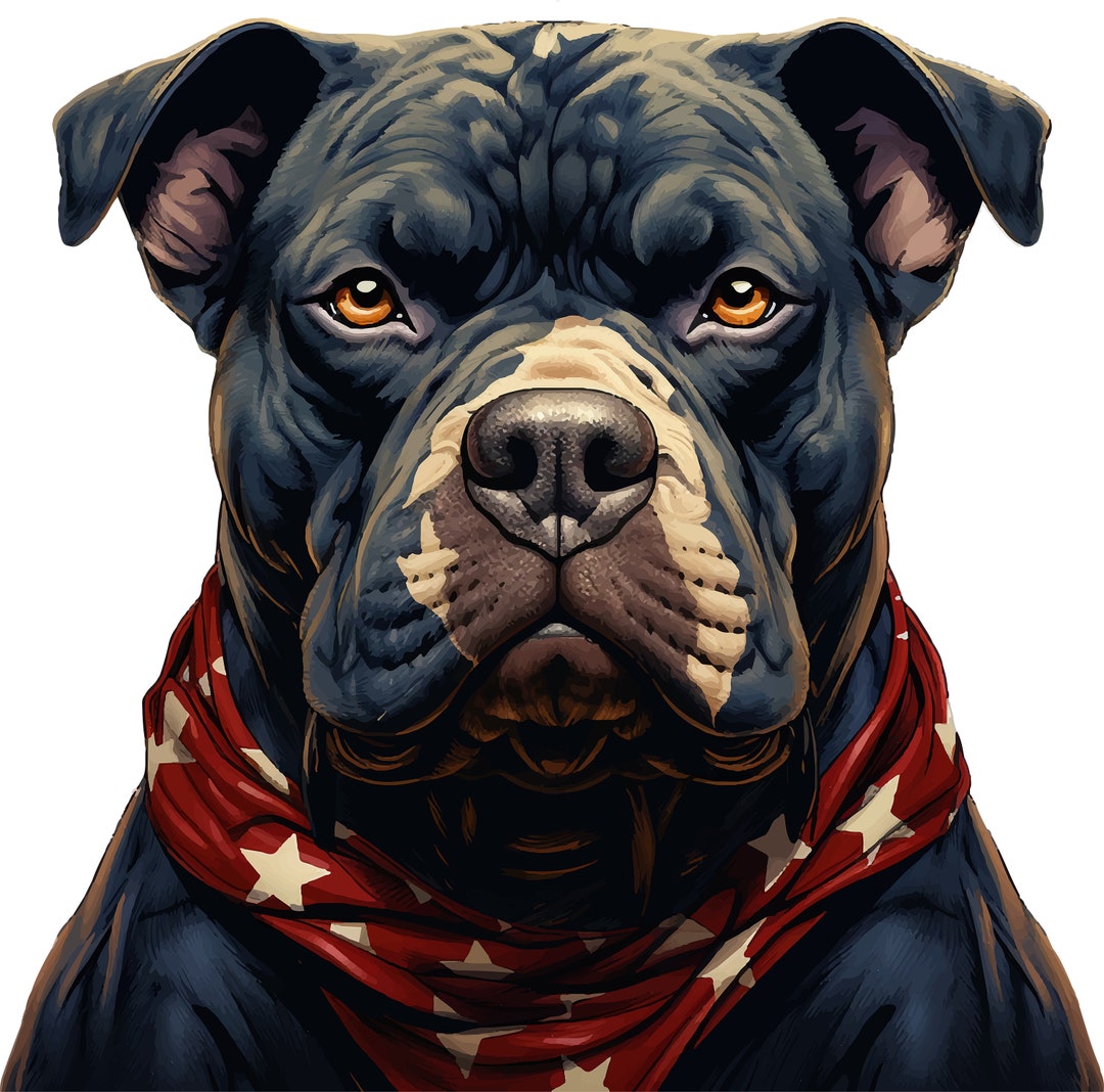 Patriotic USA American Bully PNG Digital Design 300DPI High Resolution ...