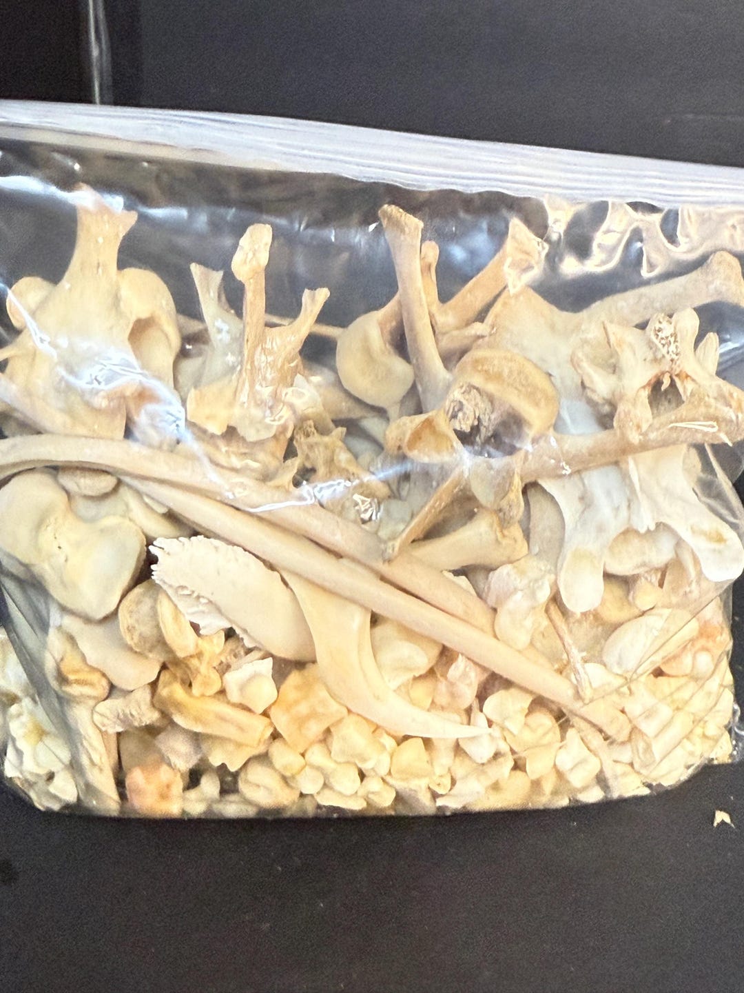 Naturally Cleaned Bag O Bone Bits - Etsy