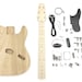 Snakehead TL Style Build Your Own Guitar Kit - Etsy
