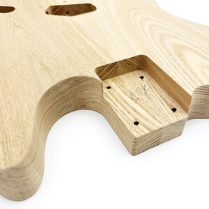 Snakehead TL Style Build Your Own Guitar Kit - Etsy