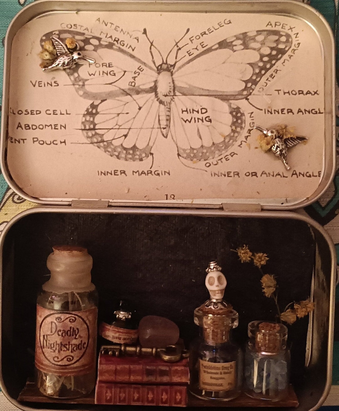 Converted Altoid Tin/miniature Apothecary - Etsy
