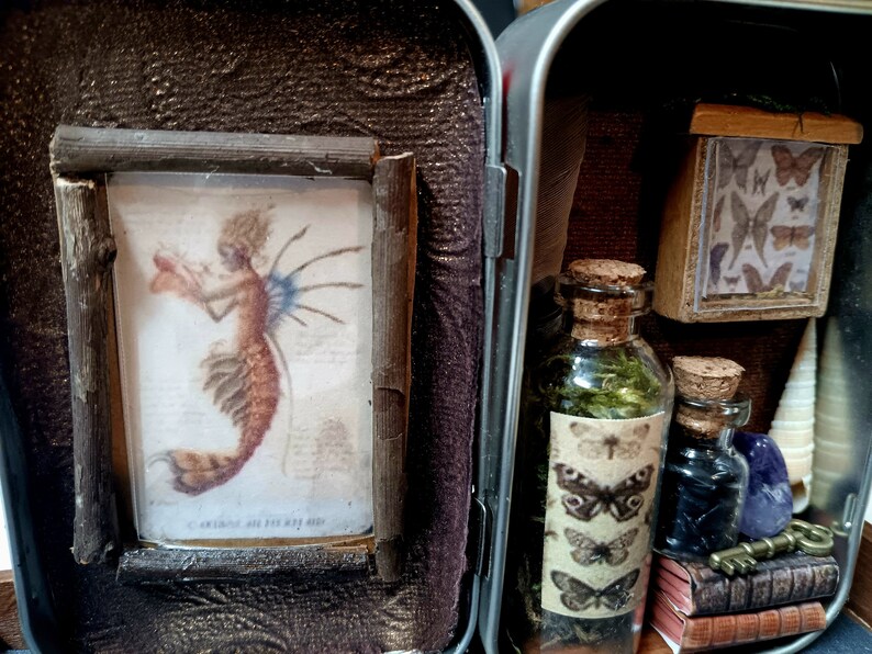 Converted Altoid Tin/miniature Apothecary - Etsy