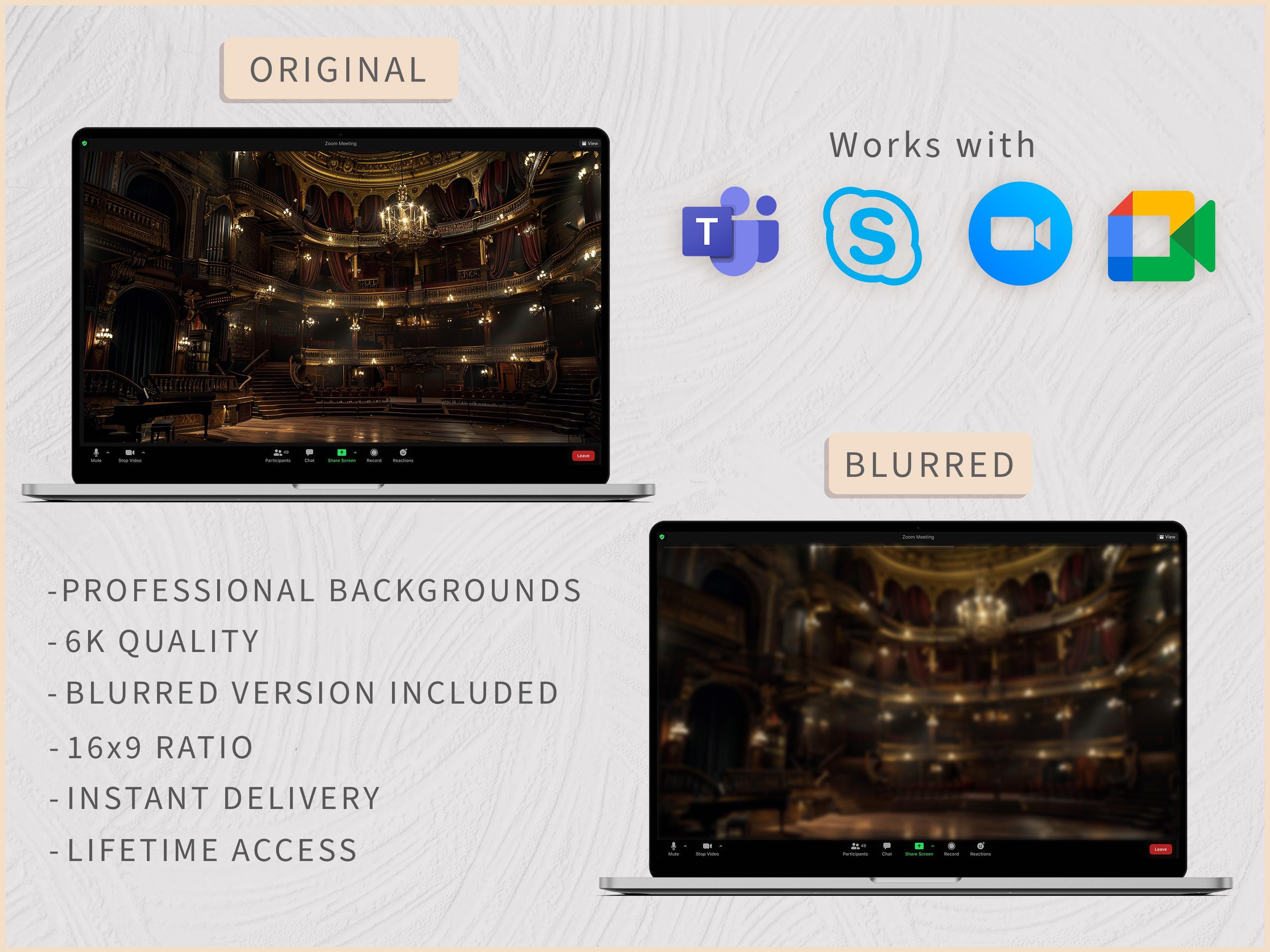 25 Opera House Zoom Background Bundle, Virtual Zoom Background, 4K ...