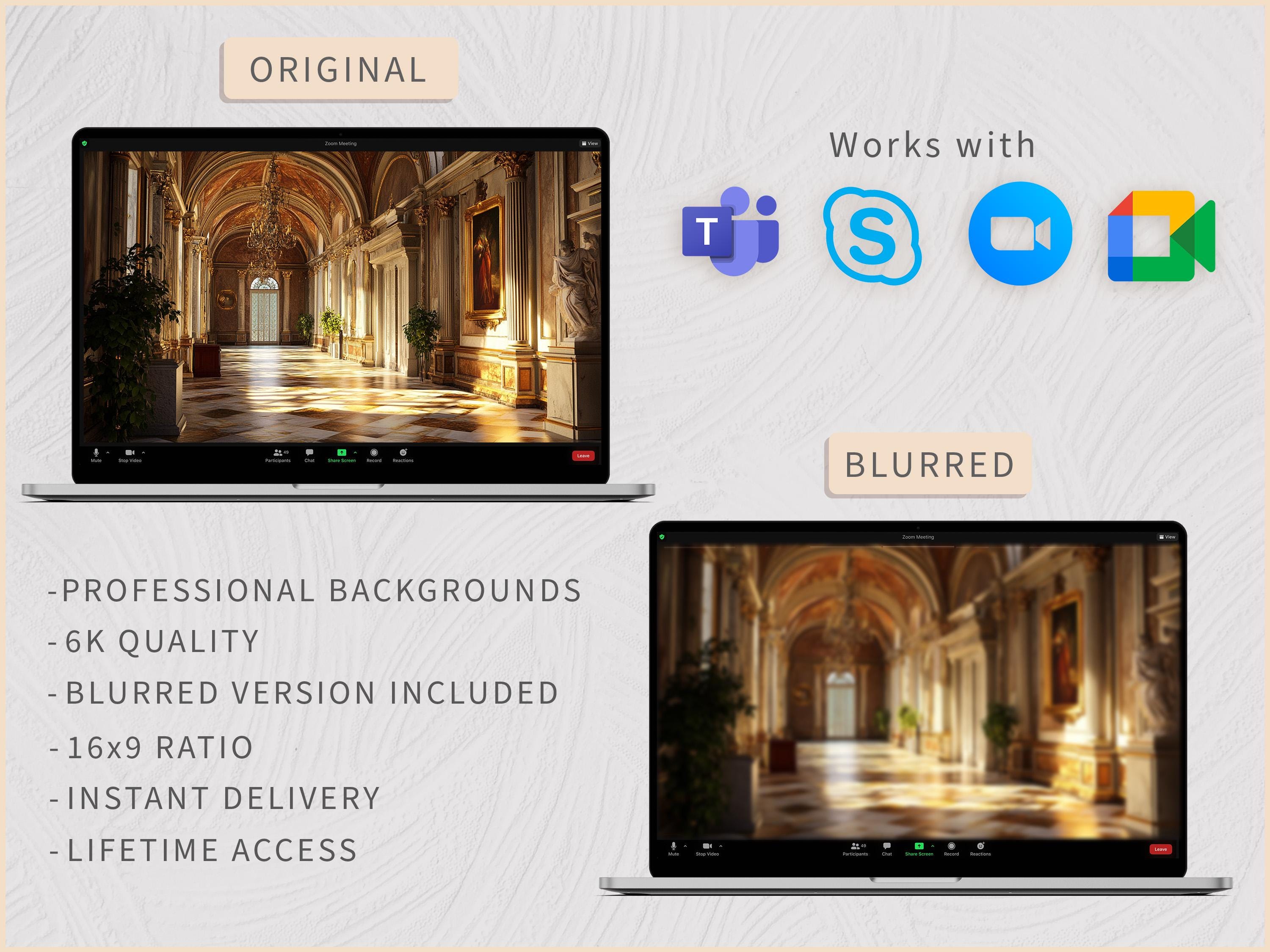 25 Renaissance Palace Zoom Background Bundle, Virtual Zoom Background ...