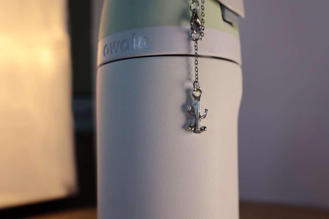 Silver Owala Charm: Cactus Tumbler Cup Accessory - Etsy