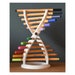 DNA Pen Holder Desk Organizer Pencil Holder - Etsy