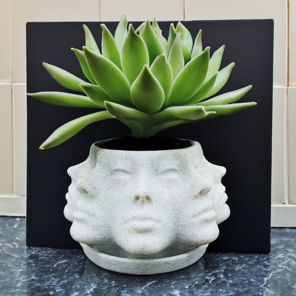 Multi Face Planter - Etsy