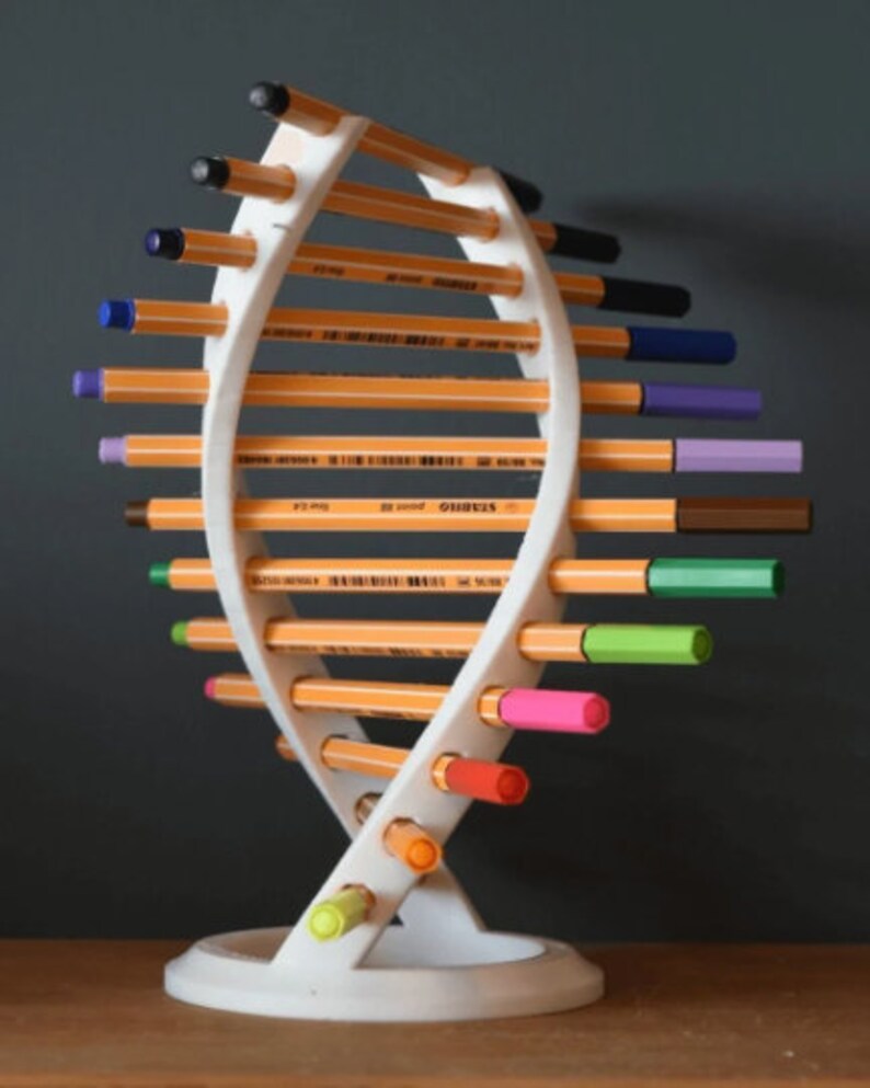 DNA Pen Holder Desk Organizer Pencil Holder - Etsy