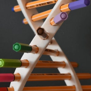 DNA Pen Holder Desk Organizer Pencil Holder - Etsy