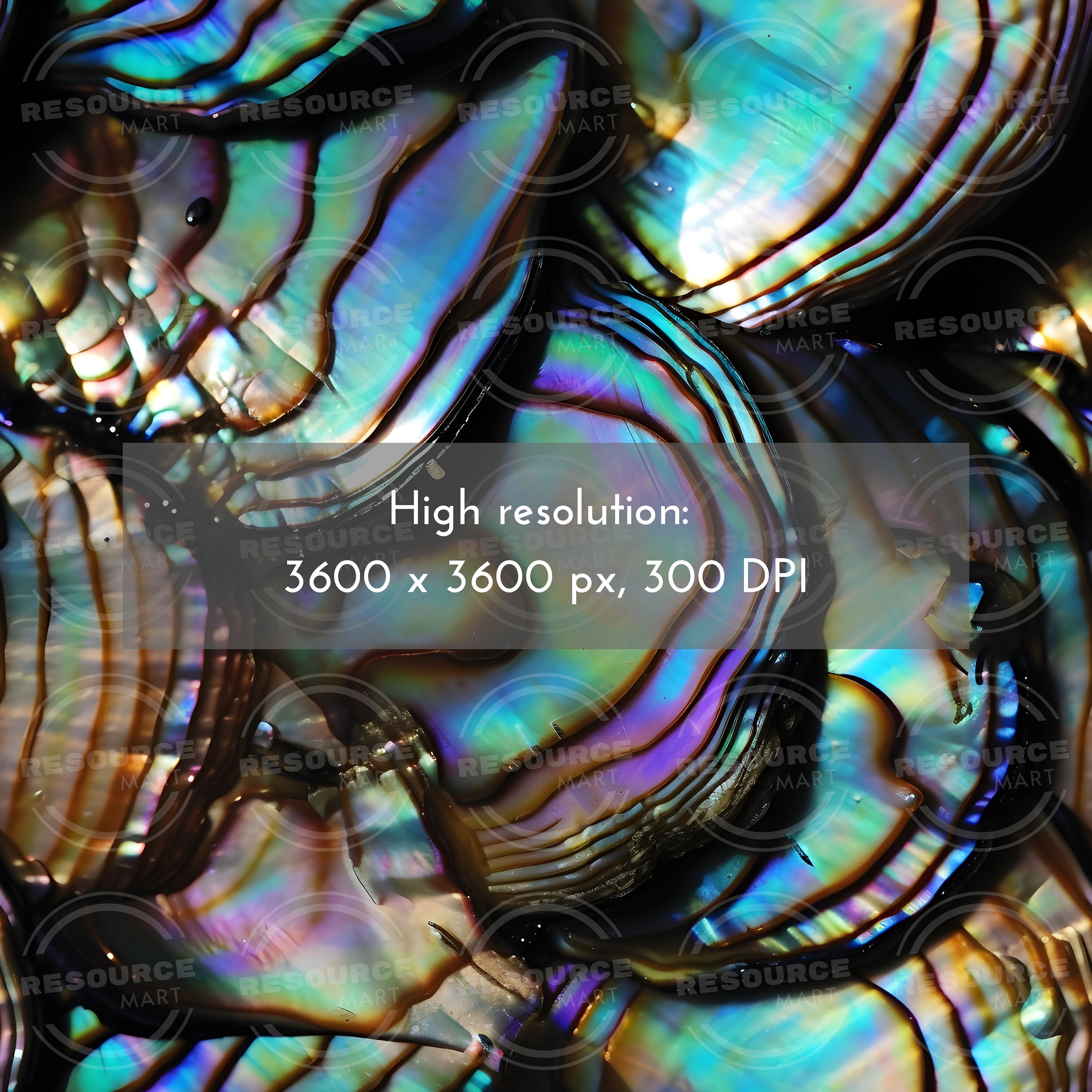 Abalone Seamless Digital Papers, Scrapbooking Paper, Tilable Background ...