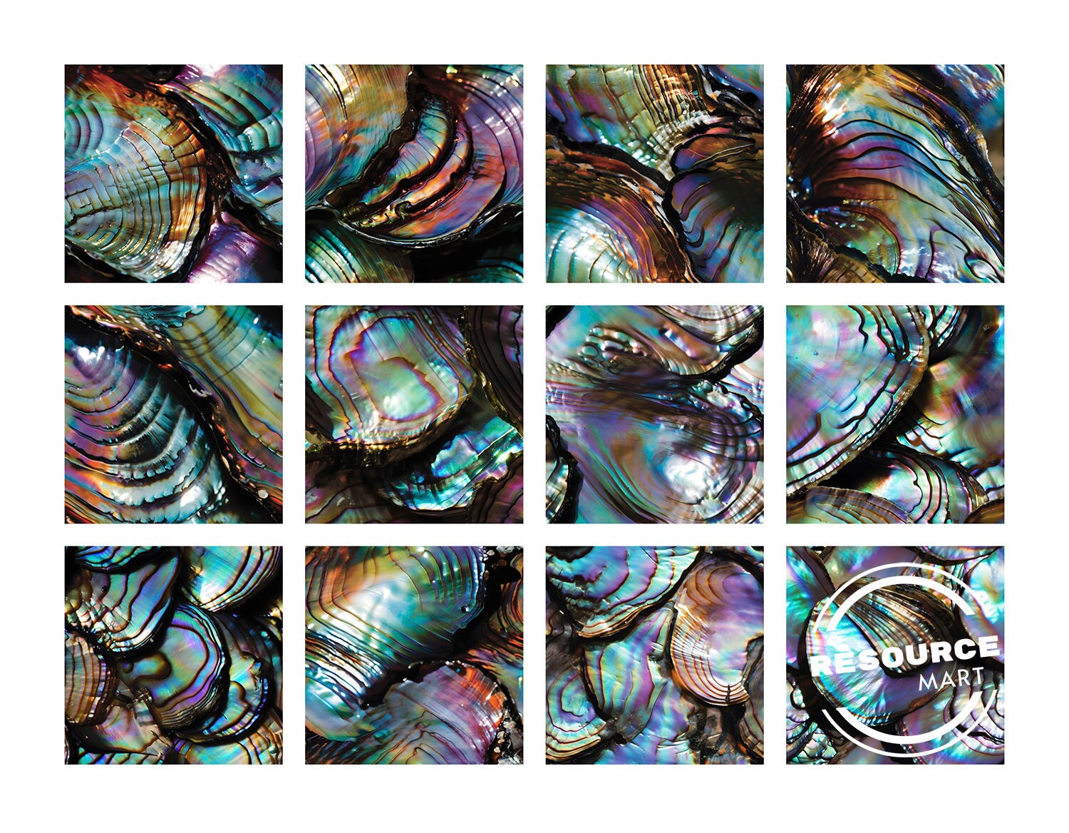 Abalone Seamless Digital Papers, Scrapbooking Paper, Tilable Background ...