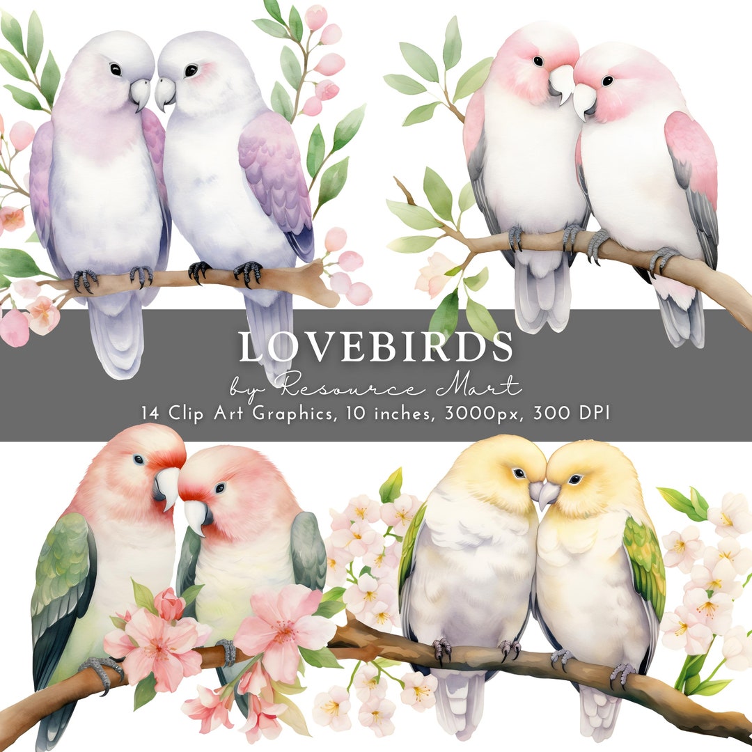 Watercolor Lovebirds Clip Art Transparent PNG, Anniversary Clipart ...