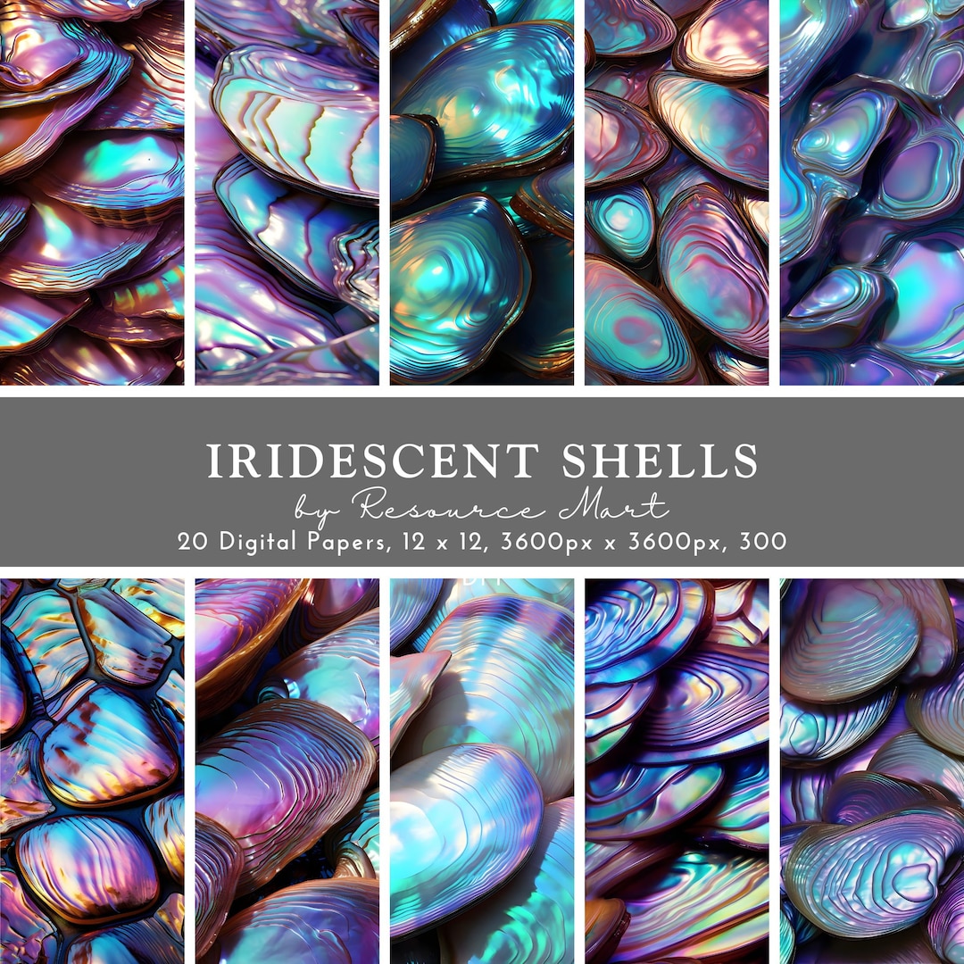 3D Iridescent Shells Digital Paper Pack, Scrapbooking or Junk Journal ...