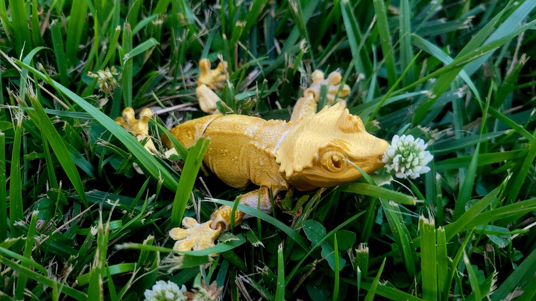 Cute 3d Printed Gecko - Etsy