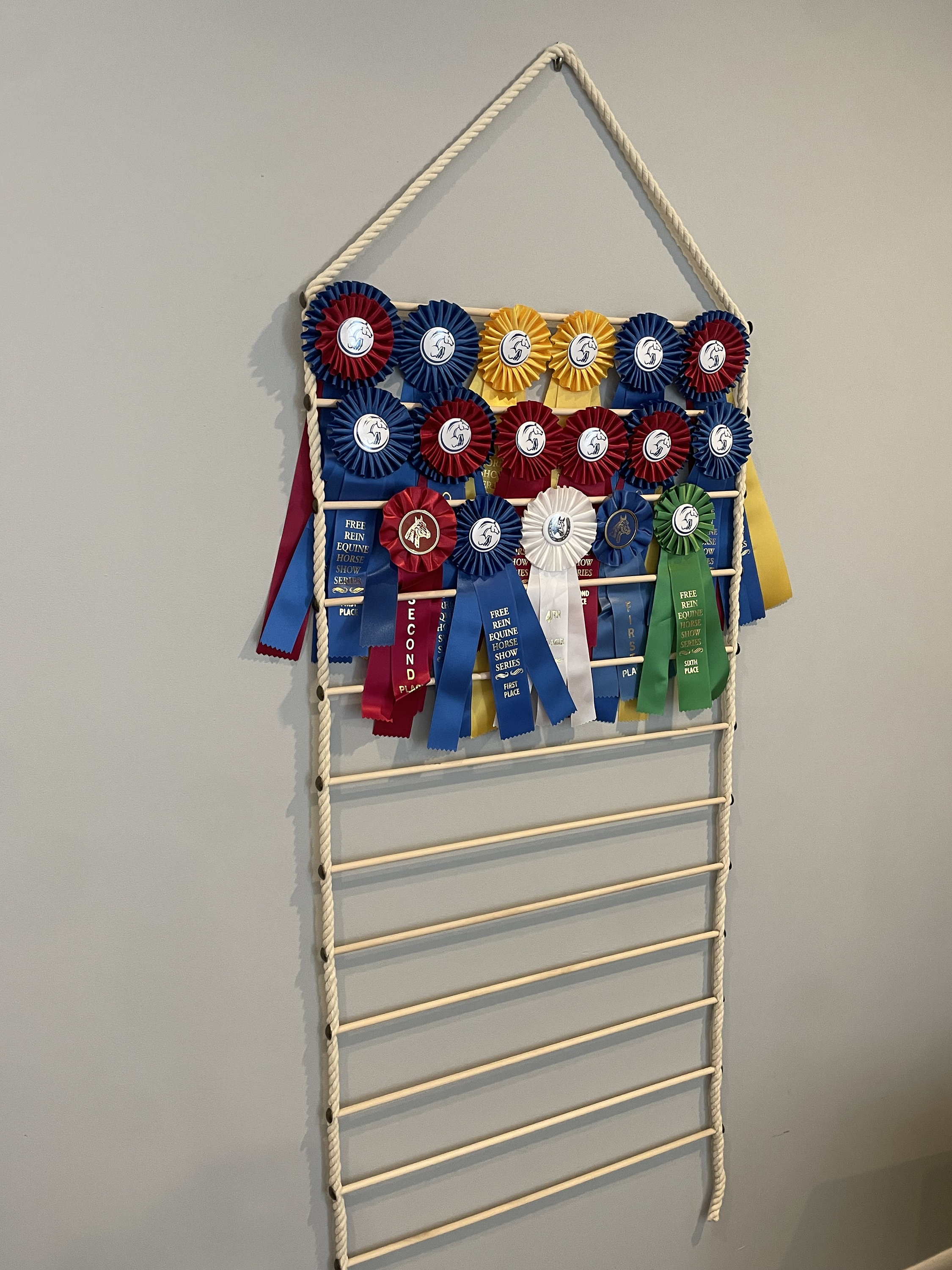 Dog Ribbon Wall Display - Holds 72 Ribbons - Etsy