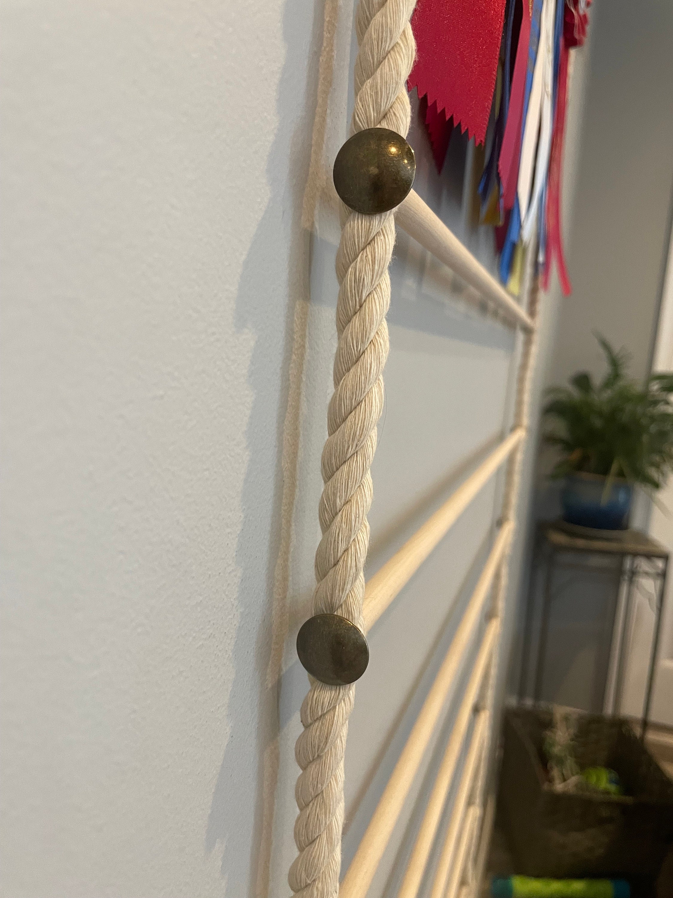 Dog Ribbon Wall Display - Holds 72 Ribbons - Etsy